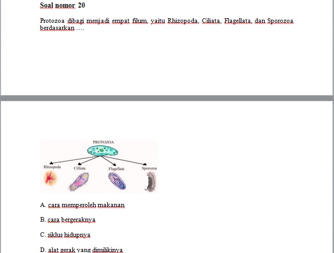 Sampel soal PAS Biologi Kelas 10 SMA